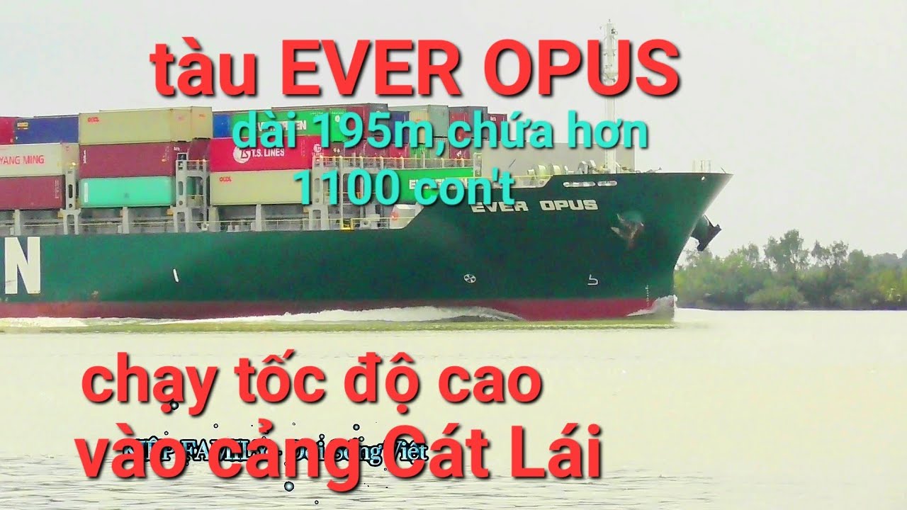 #284 Tàu EVER OPUS dài 195m chở đầy ấp container chạy nhanh về Tân cảng ...