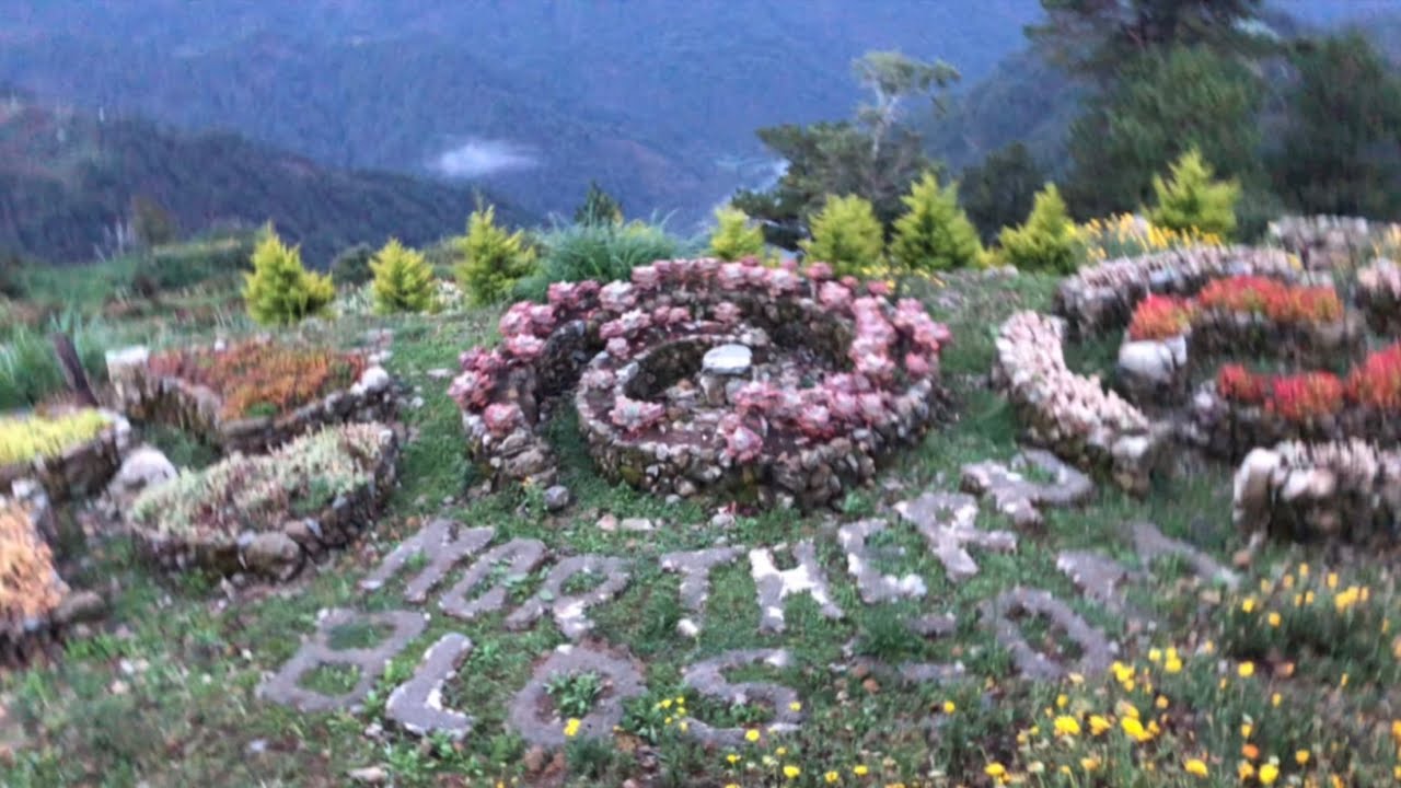 Northern Blossom Flower Farm | Atok Benguet | Enjoy watching - YouTube