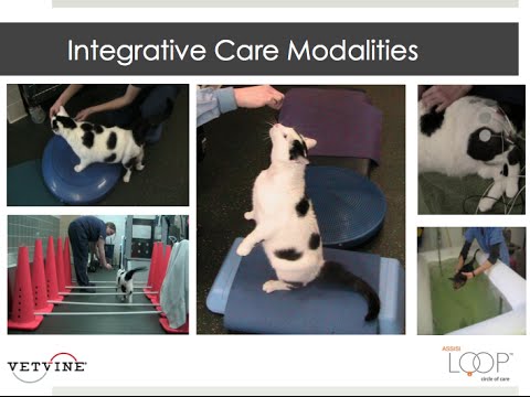 Rehabilitation Medicine - A Multimodal Approach to Physical Therapy in ...