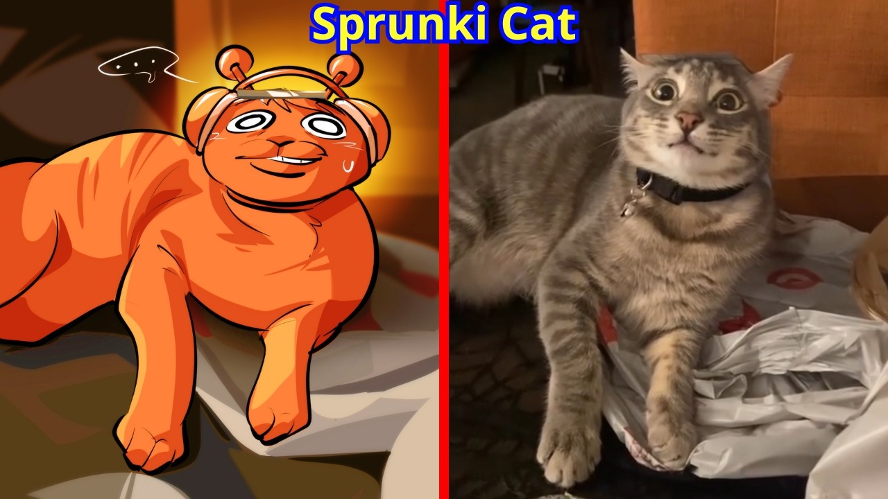 Sprunki Cats Incredibox | Hilarious Pet Antics That Will Brighten Your ...