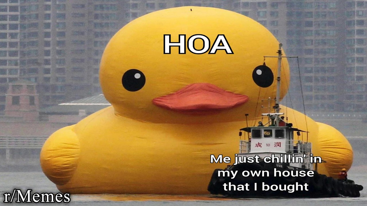 uncommon memes - YouTube