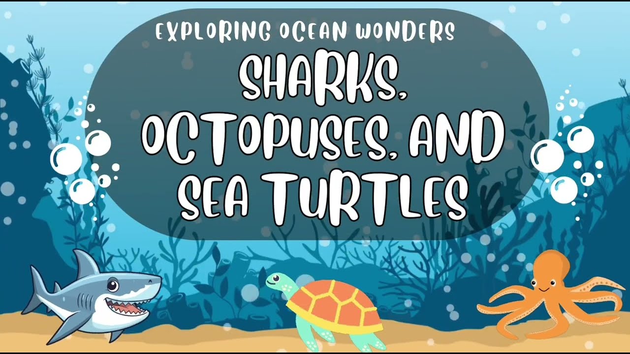 Discover the Deep: Sharks, Octopuses, and Sea Turtles Adventure - YouTube
