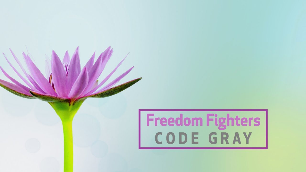 Freedom Fighters: Code Gray-Mobilize Collective Action | Rogers tv ...