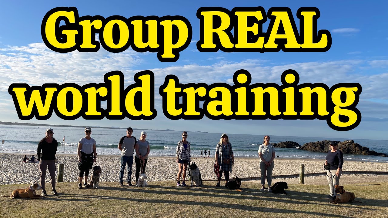 Group REAL WORLD training (my apologies for poor sound) - YouTube