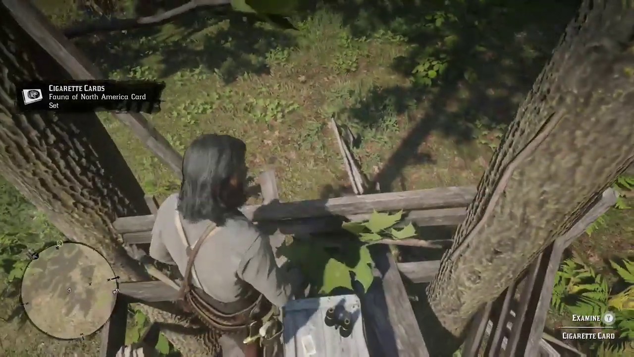 Fauna Of America Cigarette Card 3 & 10 - Bluebird & Pheasant - Map ...