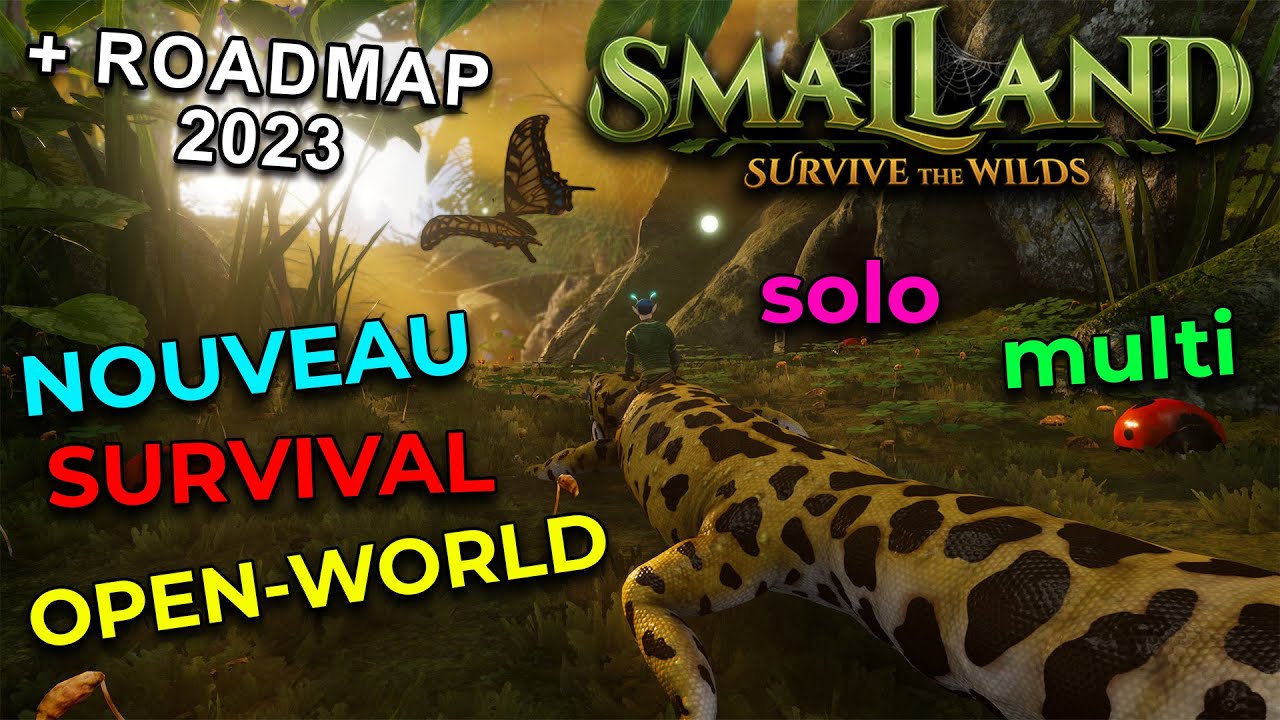 SMALLAND - Survival Open-World : Présentation & Roadmap [FR] - YouTube