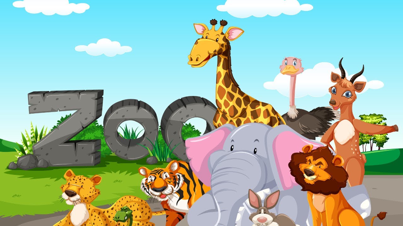 "Zoo Tales: An Animated Adventure in the Wild!" - YouTube