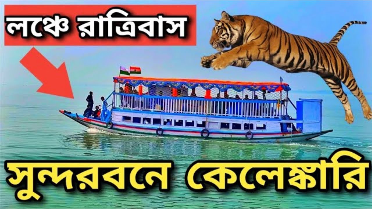 Sundarban Tiger || Sundarban Full Mastt || Sundarban Vlog - YouTube