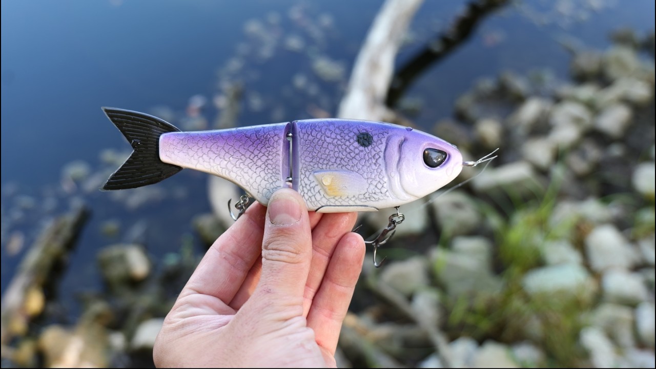 This Custom Swimbait Caught Me a GIANT Bass! - YouTube