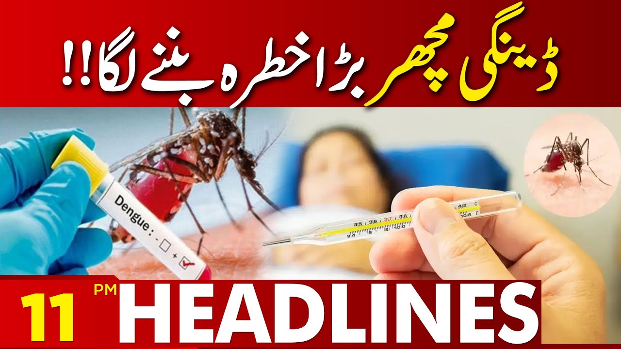 Dengue Macchar Bara Khatra Ban'nay Laga | Lahore News Headlines 11 PM ...