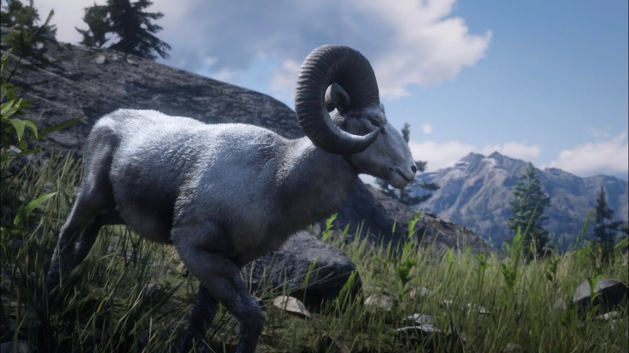 Even Stranded In The Wilderness This Game Does NOT Let You Clean Guns ...