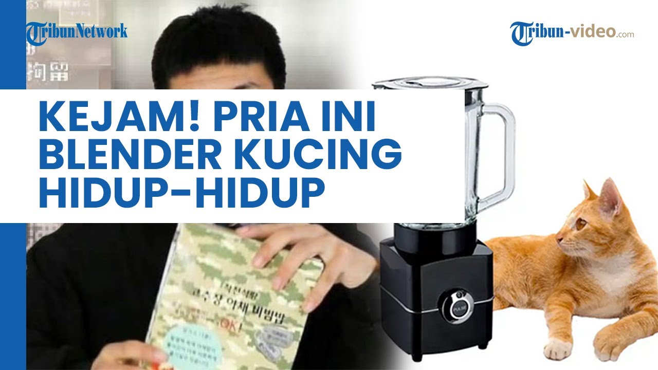 KEJAM! Pria di China Tega Blender Kucing Hidup-Hidup, Sosoknya Kini ...