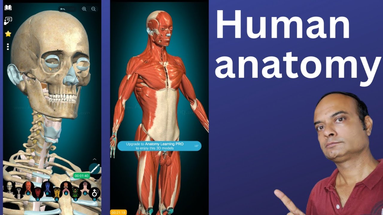 Introduction to anatomy & physiology | human anatomy - YouTube