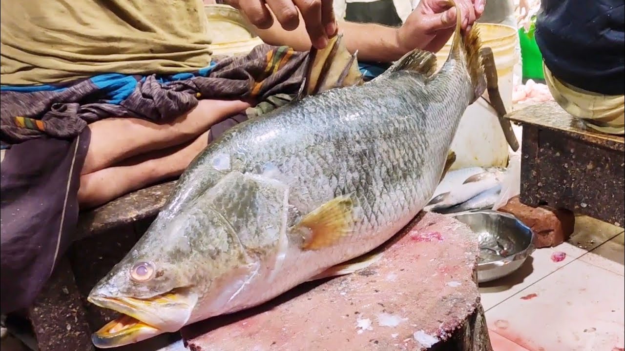 Incredible Huge Bhetki Fish Cutting In BD Fish Market | - YouTube