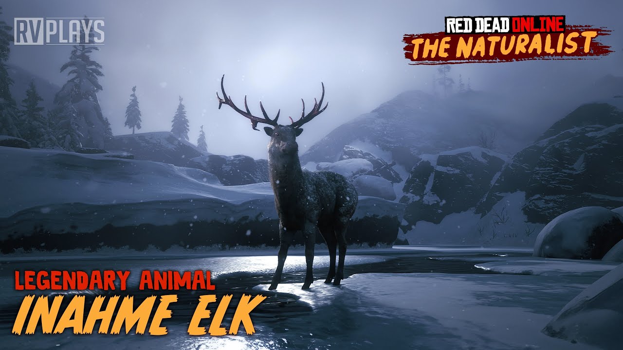 Red Dead Online : Harriet Mission - Legendary Inahme Elk - YouTube
