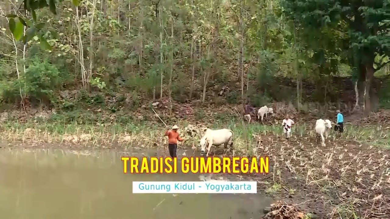 Tradisi GUMBREGAN DI Gunungkidul | JEJAK ANAK NEGERI (22/07/21) - YouTube