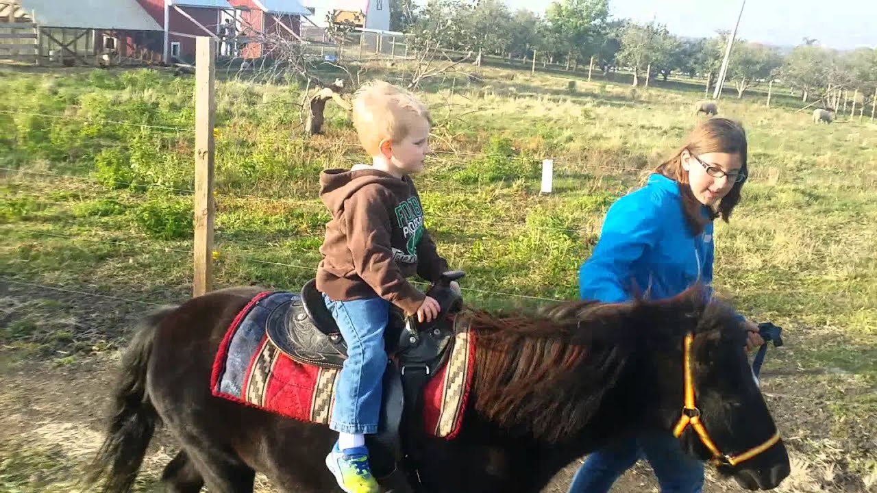 Owen's first pony ride - YouTube