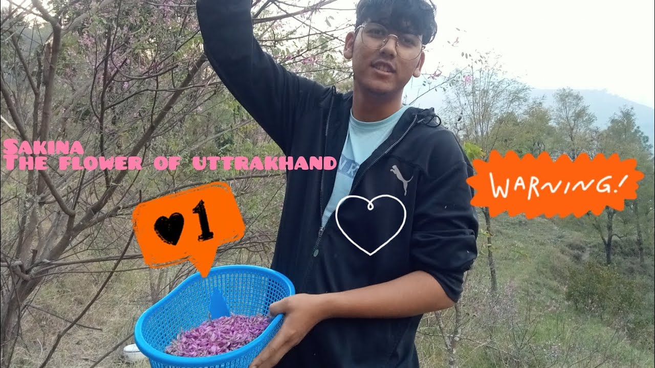 the most famous flowers of uttrakhand (sakina) 💕😉 - YouTube