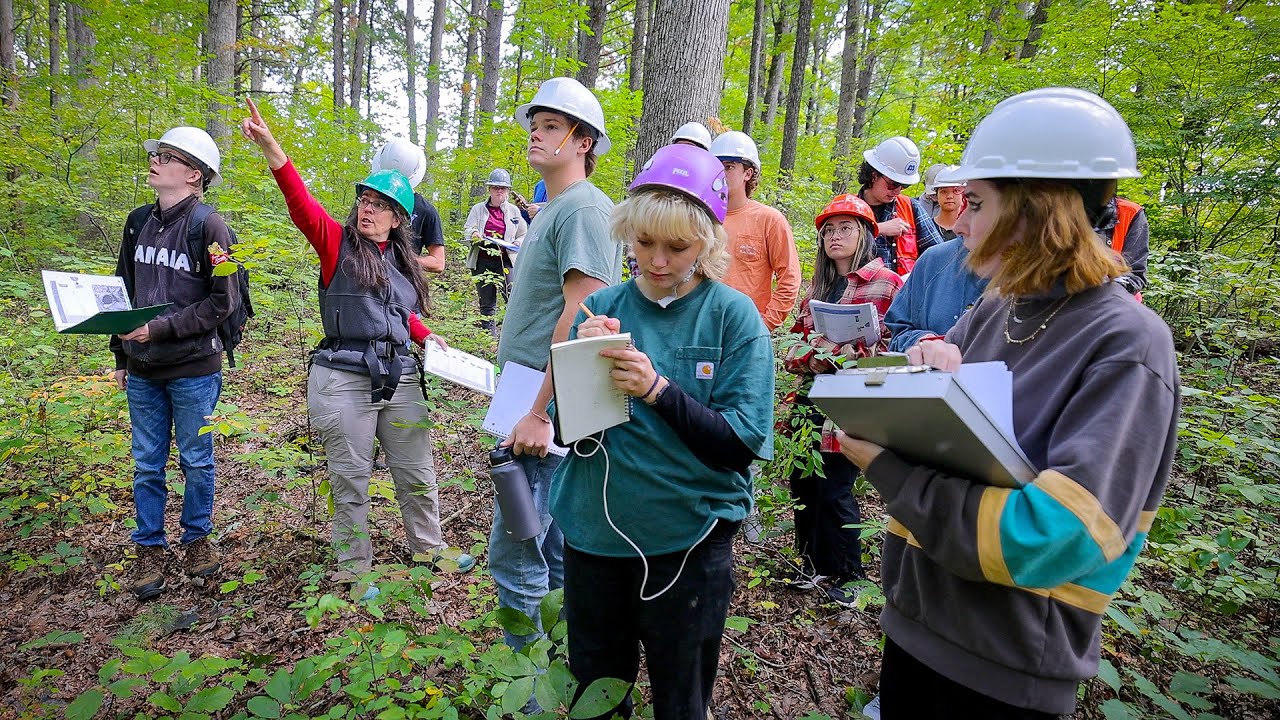 Forest ecology students learn to identify microhabitats - YouTube