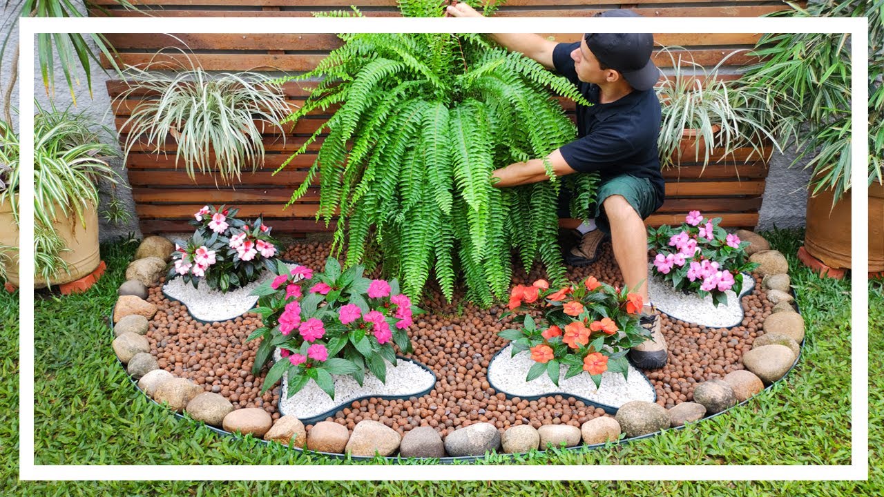 Jardim com Samambaia e flores de sombra / Ideias para jardim - YouTube