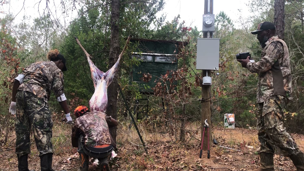 Processing deer Start to Finish… with (Cnboutdoors). - YouTube
