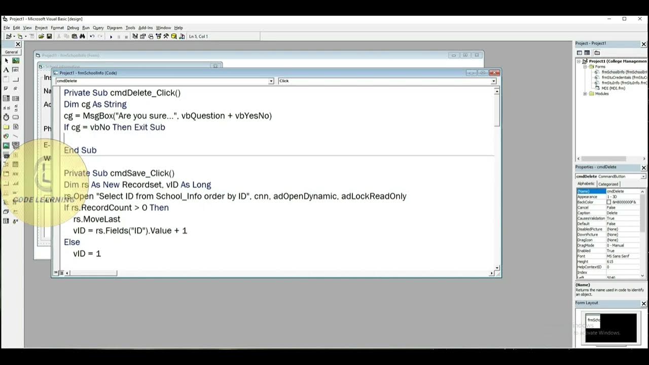 Vb6.0 | CMP 'frmSchoolInfo - delete data' | CodeLearning - YouTube