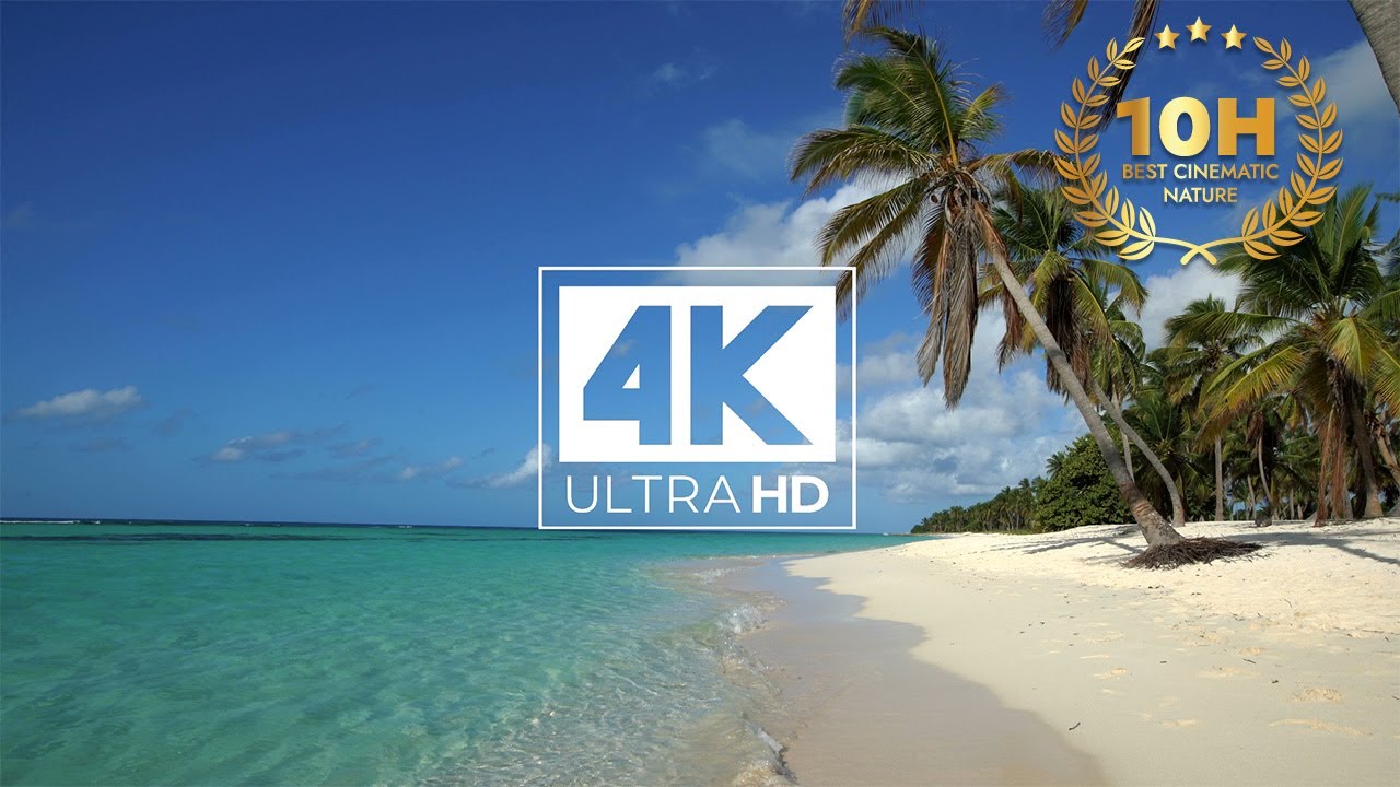 🌞 Relaxing 4K Beach Video with Palm Trees and Ocean Waves - YouTube