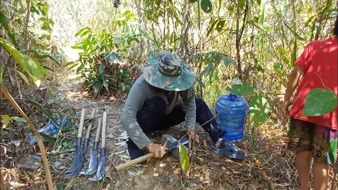 hnub no peb rov qab mus luaj teb cog nplej os - YouTube