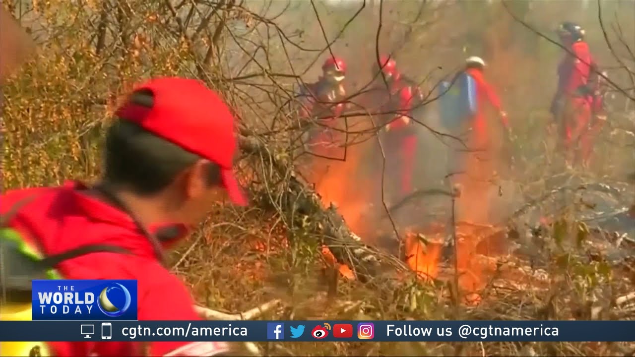 Bolivia struggles to keep wildfires under control - YouTube