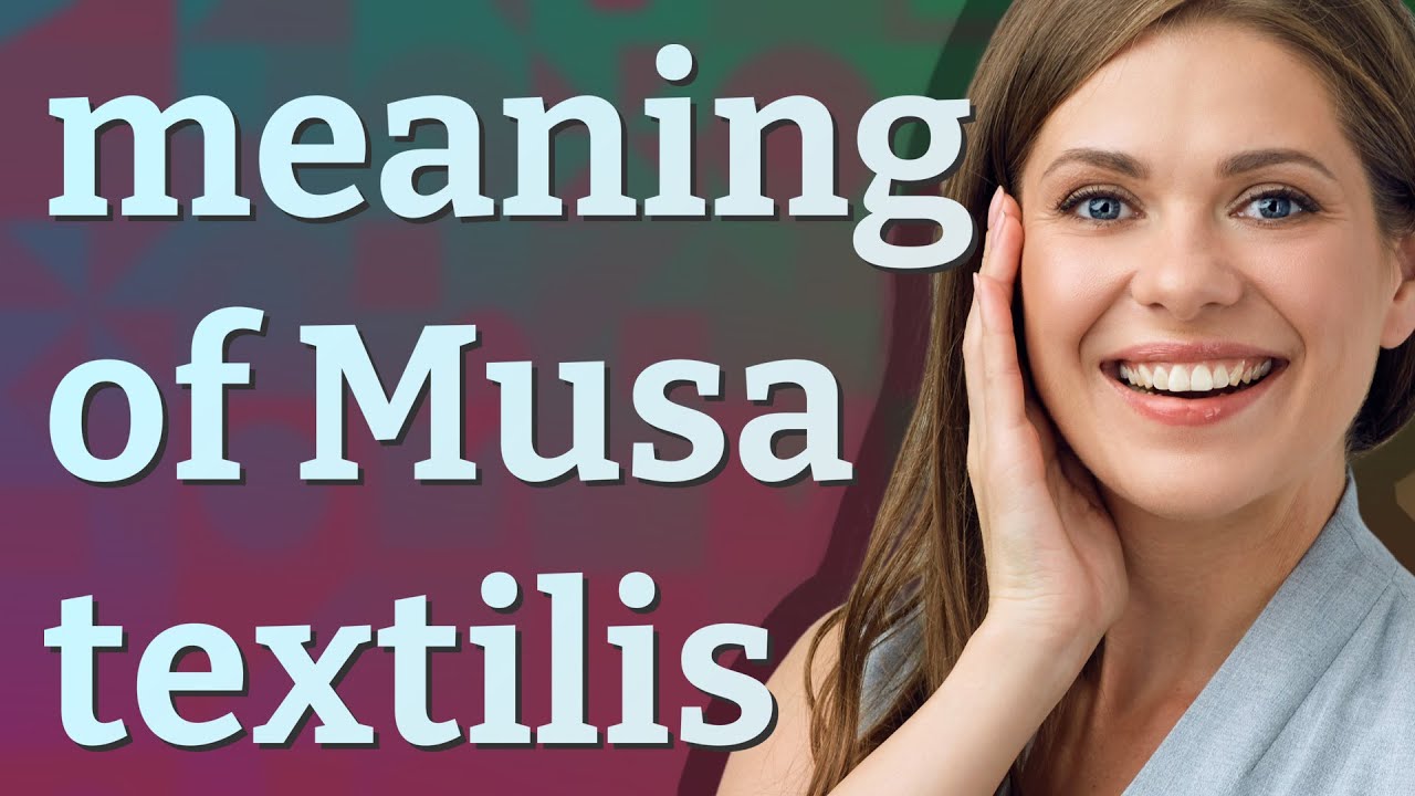 Musa textilis | meaning of Musa textilis - YouTube