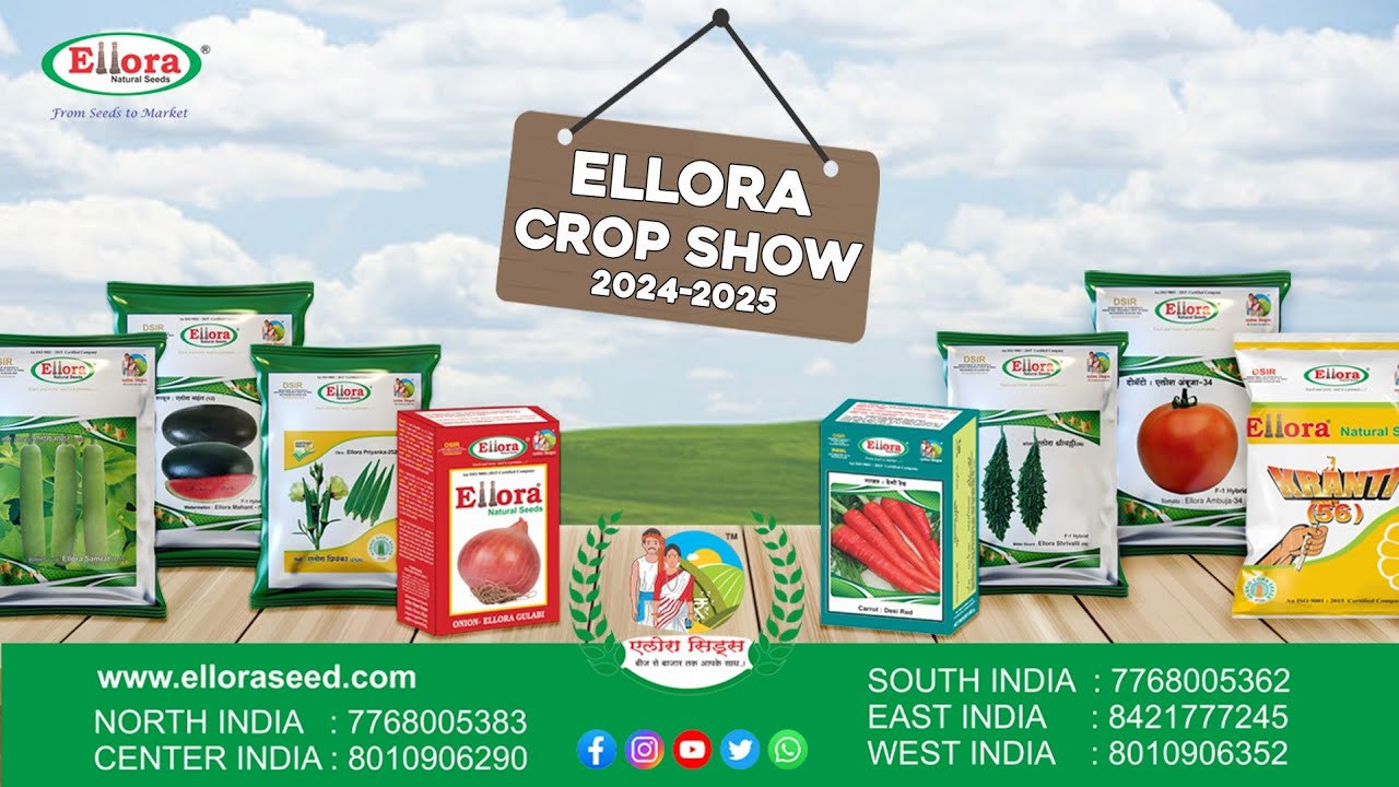Ellora Seeds | Crop Show | "Ellora Seeds – हर मौसम में दमदार प्रदर्शन 🌾 ...