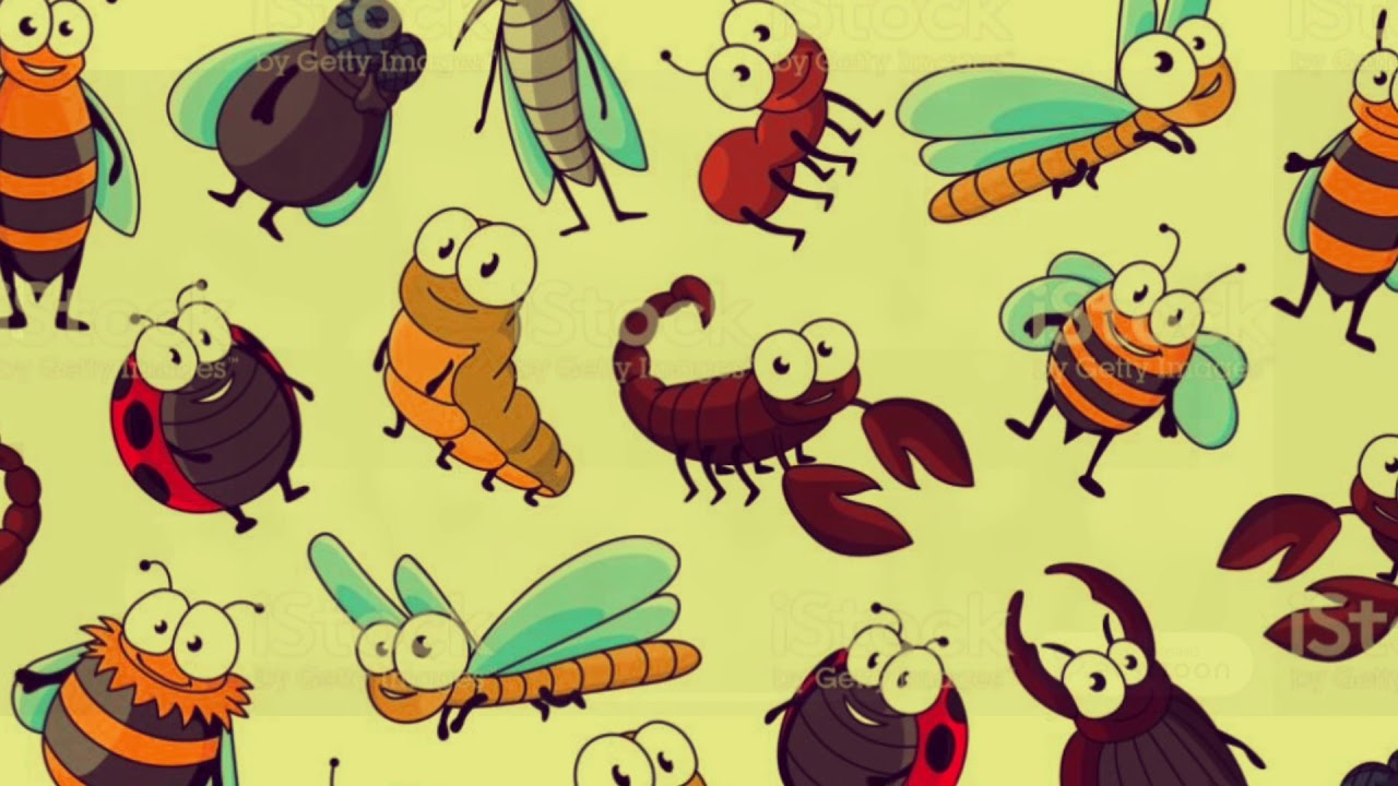 Alimentos a partir de insectos - YouTube