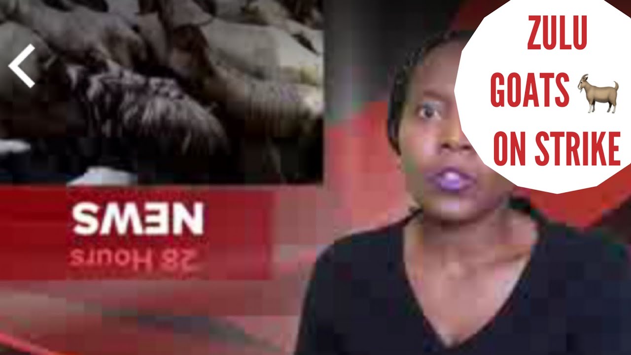 Izimbuzi zase KZN zitelekile - YouTube