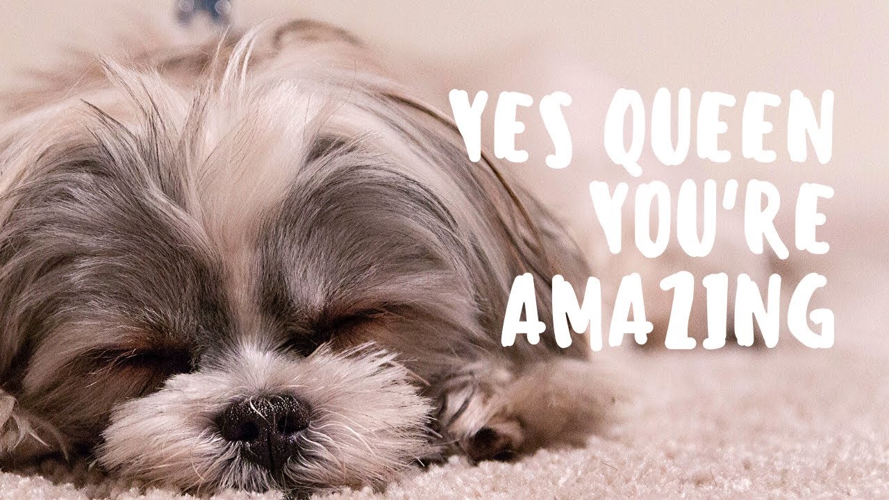 yes QUEEN you're amazing - YouTube