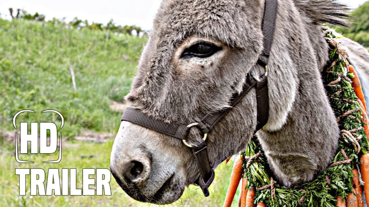 EO Trailer German Deutsch (2022) - YouTube