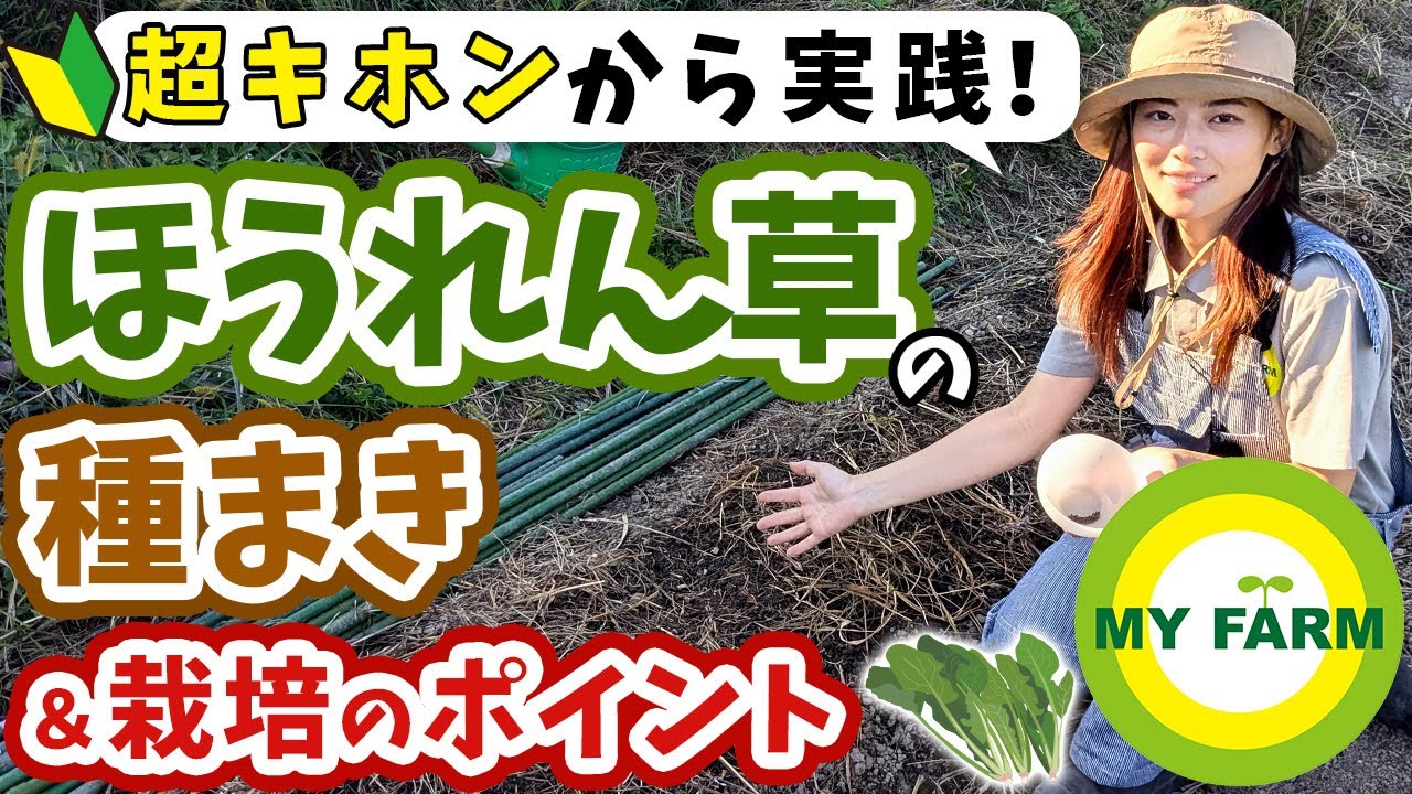 株式会社マイファーム