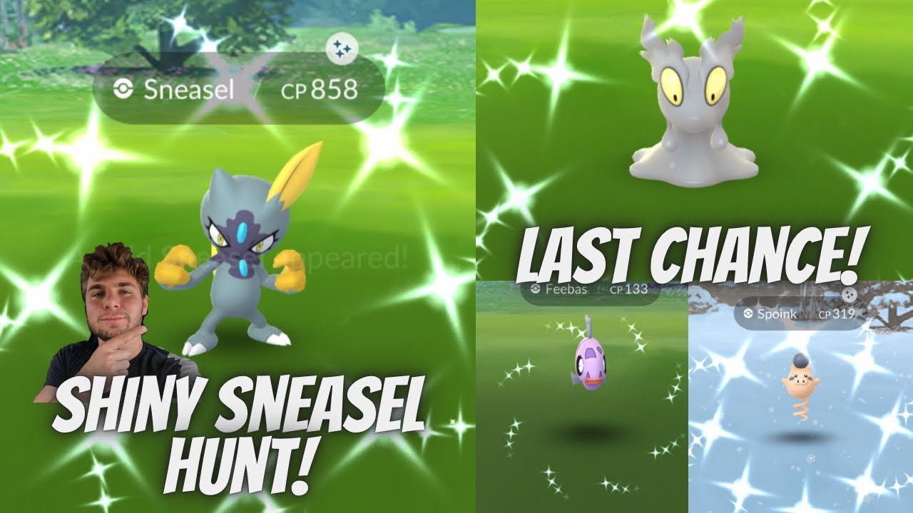 Insane Shiny Luck in Pokemon Go! Fina Hisuian Sneasel Hunt In Pokemon ...