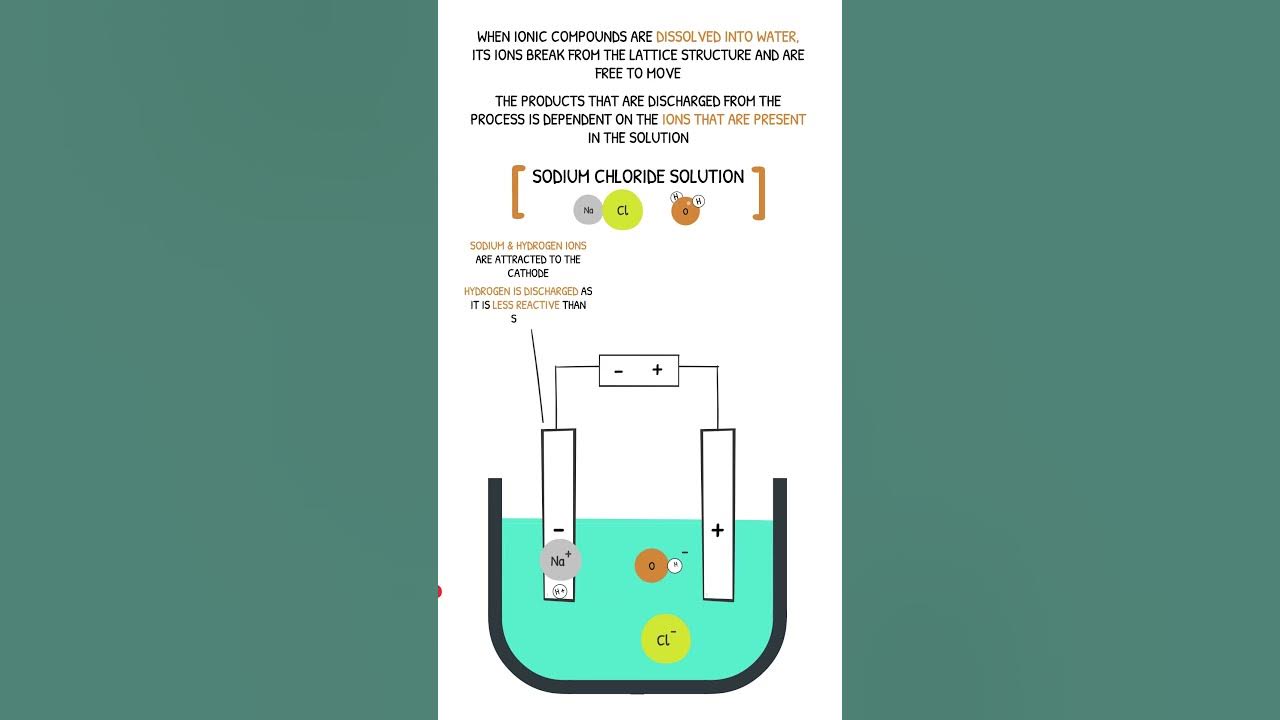 GCSE Chemistry Revision - Electrolysis of Aqueous Solutions - YouTube