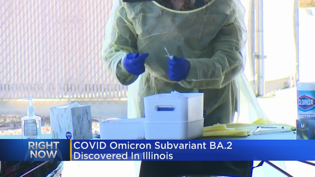 COVID Omicron Subvariant BA.2 Discovered In Illinois - YouTube