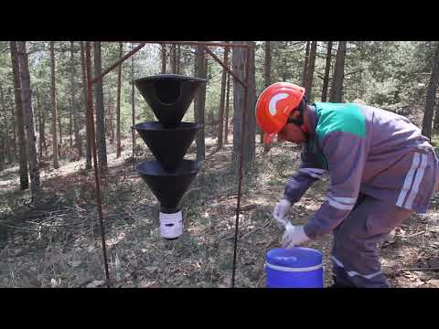 OGM Tanıtım Videosu | Yangın , Orman Zararları, Faaliyet konuları ...