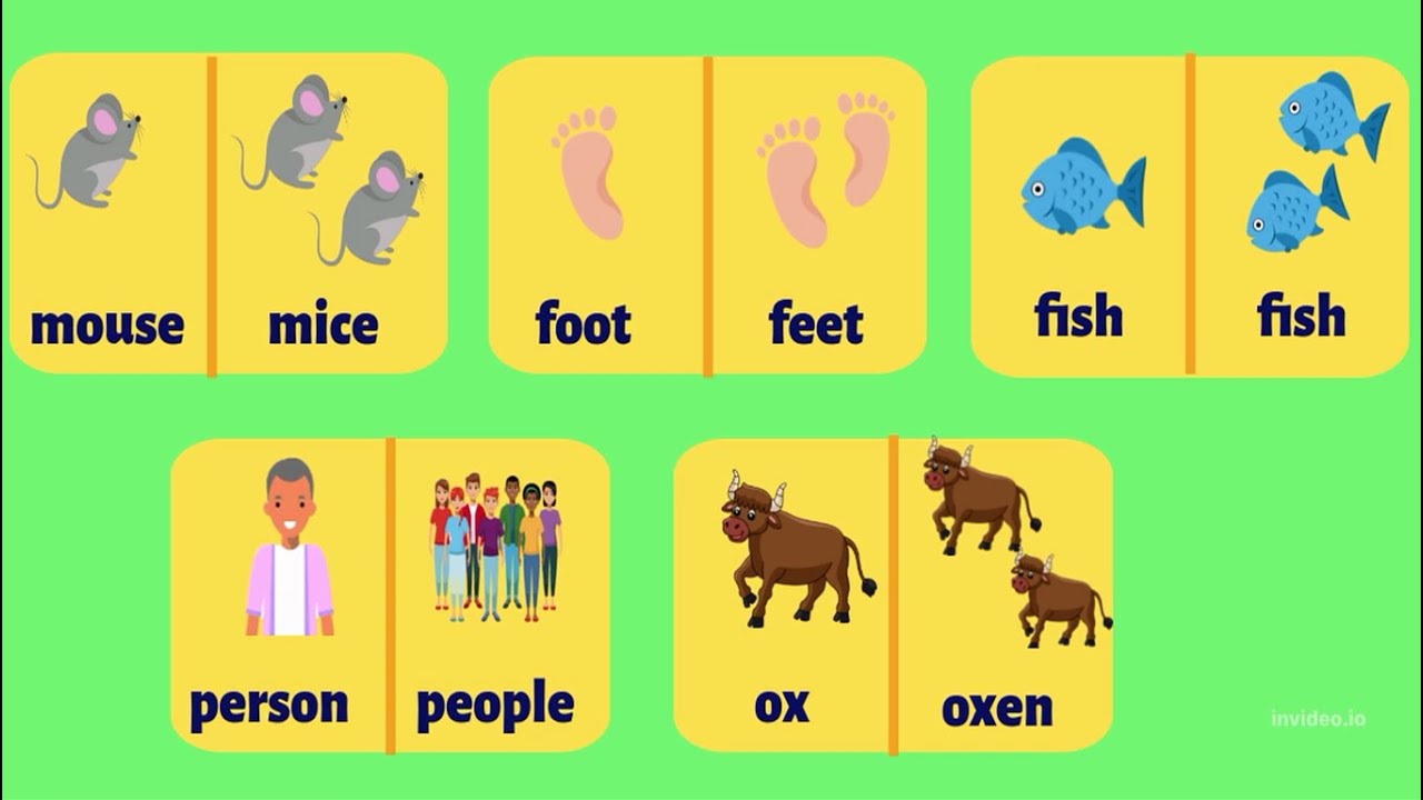 Irregular Plural Nouns | Grammar with examples | Learn English for Kids ...