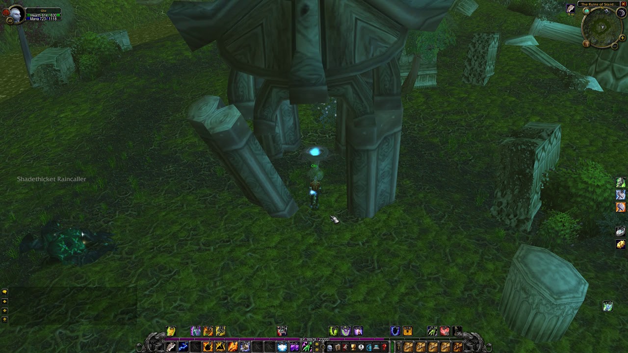 Filled Blue Waterskin Quest Item Wow Classic Youtube
