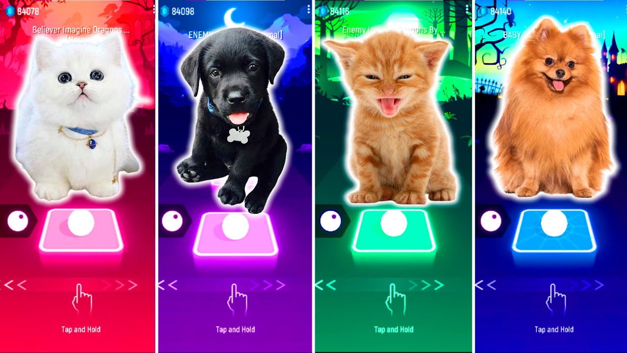 CUTE CAT BELIEVER IMAGINE DRAGONS VS CUTE DOG VS CUTE CAT ENEMY VS CUTE ...