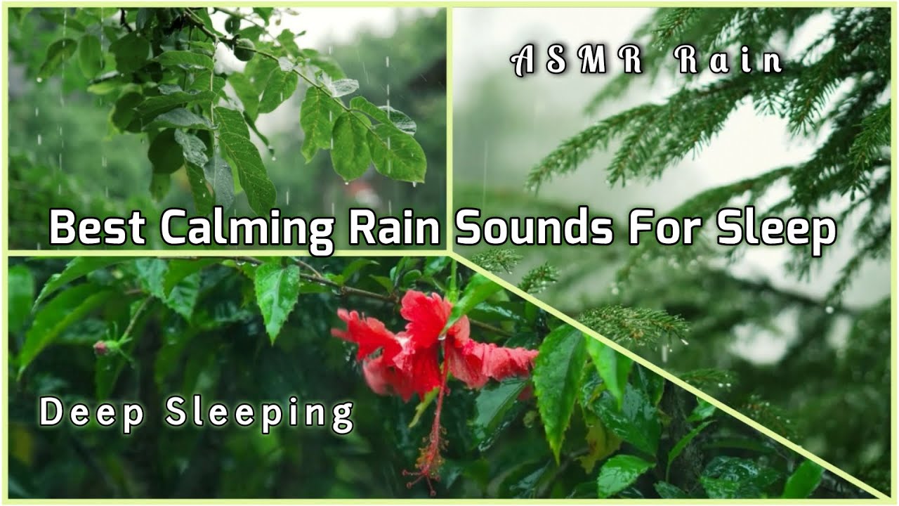 Soothing Rain Sounds for Deep Sleep | Transformative Rain Meditation ...