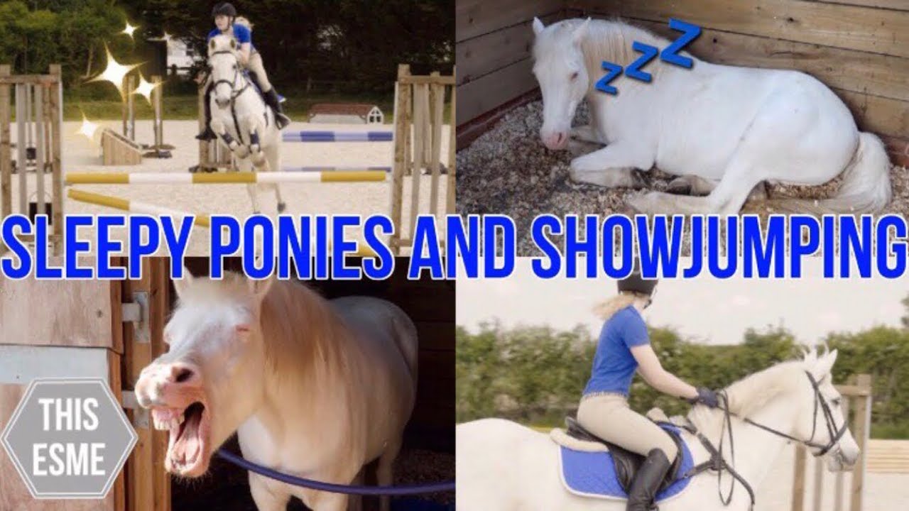 Vlog | Sleepy Ponies and Showjumping | Barn Vlog | This Esme - YouTube