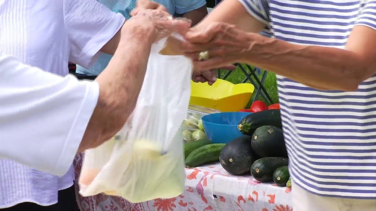 Rockbridge group fighting food insecurities - YouTube