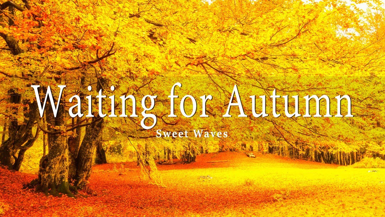 11 HRS Incredible Fall Foliage - Best 4K Autumn Nature Scenes from ...