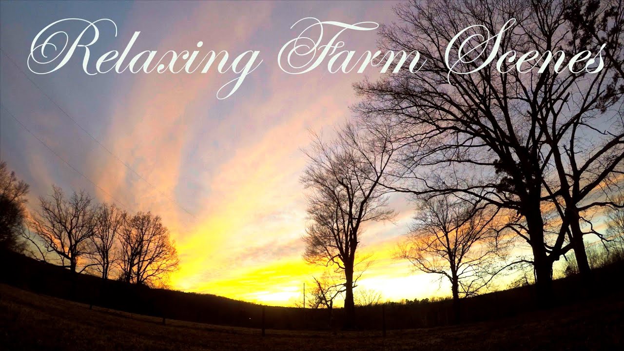 Relaxing Farm Scenes set to Classical music (time lapse and drone ...