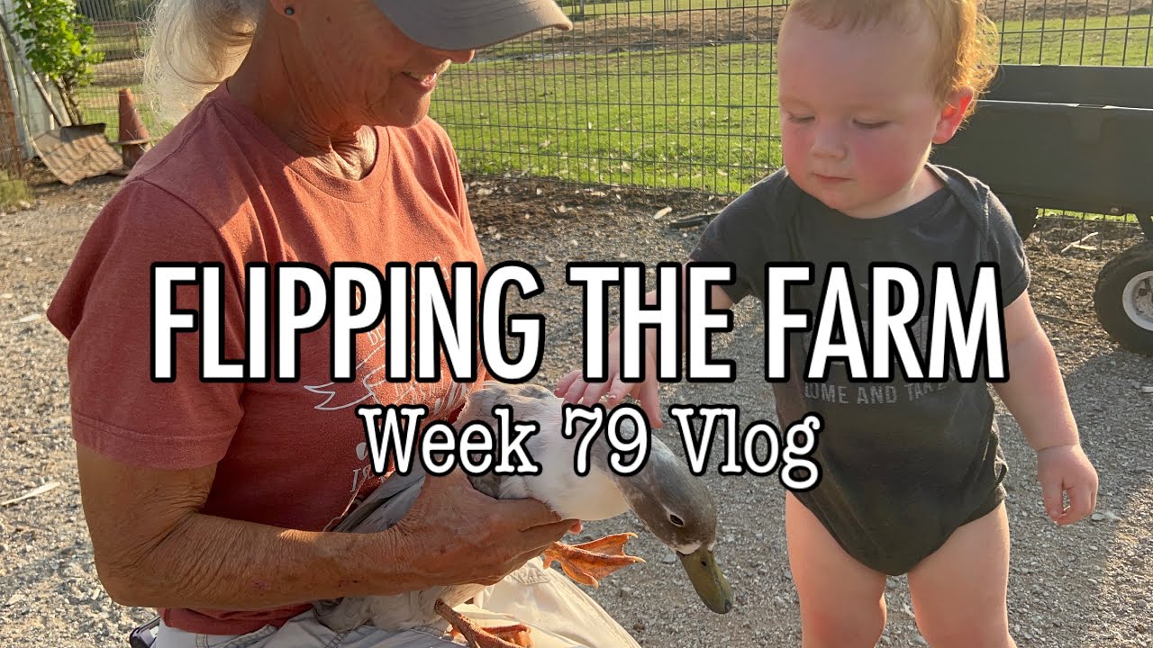 FLIPPING the FARM | Week 79 Vlog - YouTube