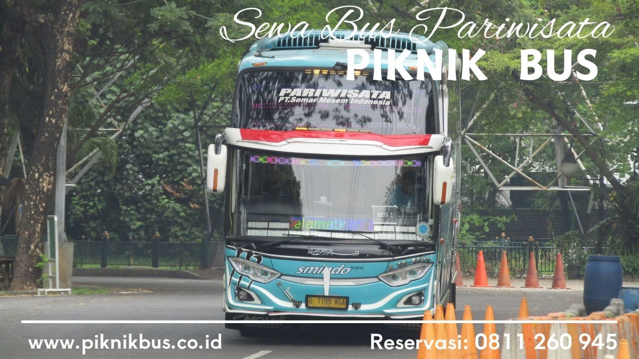 SEWA BUS PARIWISATA MURAH - PIKNIK BUS - YouTube